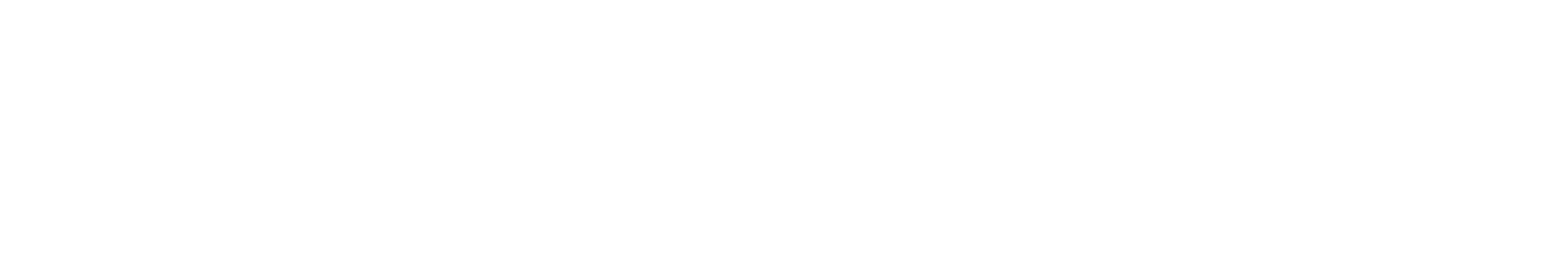 The Holcomb Group | TSG Wealth Management